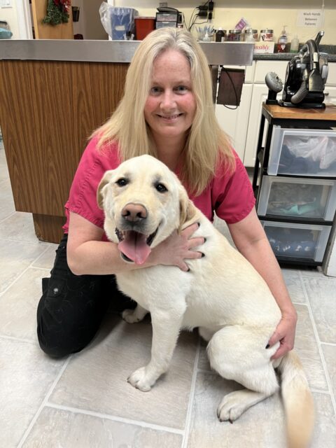 Veterinarian In Castleton-On-Hudson, NY | Drumm Vet Hospital